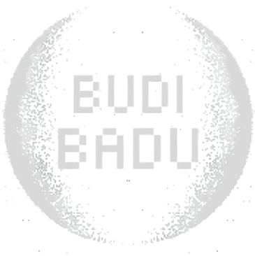 Pybadu Dedicated Python Library Compilers